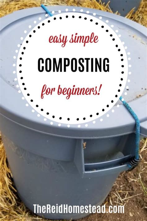 Simple Easy No Work DIY Composting Step By Step Instructions Compost Diy Compost