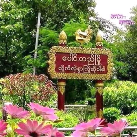 ငြိမ်းချမ်းရွှေတည် ငြိမ်းချမ်းရွှေတည် ပြည်သူ့ပန်းခြံ