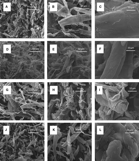Sem Micrographs Of Different Magnifications For Cp A C Dacp D F