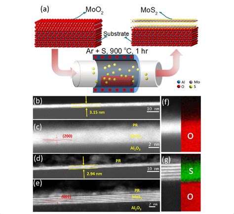A Schematic Depicting The Optimized Sulfurization Process B Stem Download Scientific