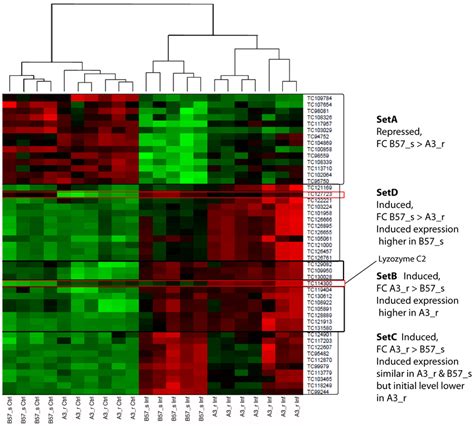 Clustering Analysis Of Probes Differentially Modulated In Resistant And