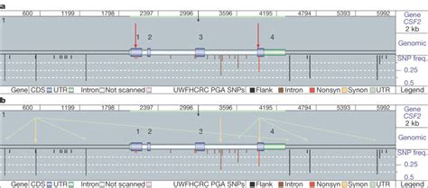 Direct Versus Indirect Association Analysisa In Direct Association