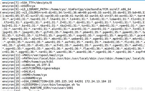 Linux系统编程：环境变量 Csdn博客