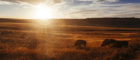 Java 服务性能监控之micrometer详解 时钟在说话 Segmentfault 思否