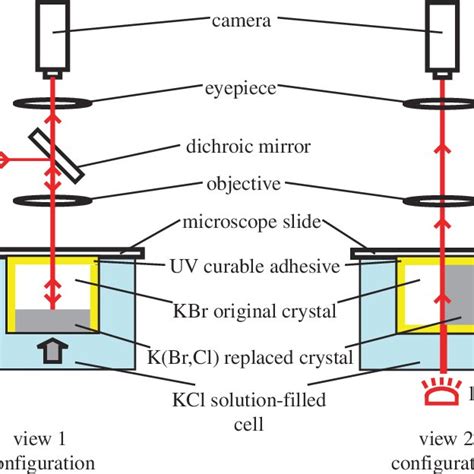 Solubility Phase Diagram Of The KBrKClH 2 O System Adapted From Download Scientific Diagram