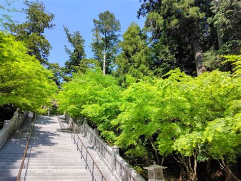 【袋井市】わくわくする！ 豊沢の法多山で、イベントたくさん「新緑まつり」が開催中！（aki0419） エキスパート Yahoo ニュース
