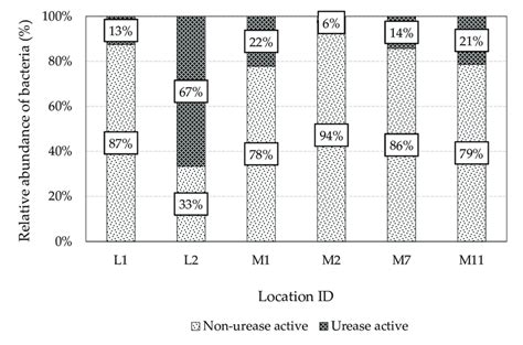 Relative Abundance Of Ureolytic Bacteria In Different Sampling