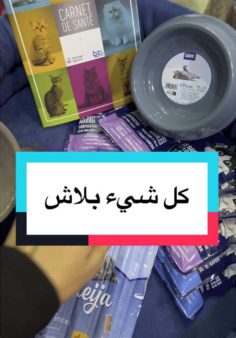 إعلانات تبني القطط في خزامة سوسة Tiktok