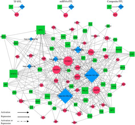 The Mirna Tf Co Regulatory Network Blue Diamonds Represent Mirnas
