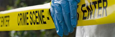 Forensic Science And The Legal System Certificate College Of Community Innovation And Education