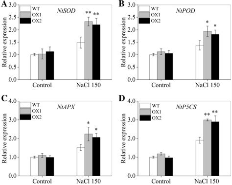 Quantification Of Relative Transcript Levels Of Antioxidant Related