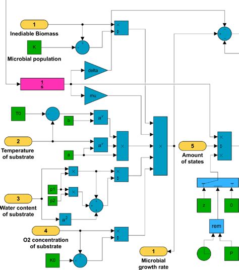 Simulation Model Of The Microbial Growth Process Download Scientific
