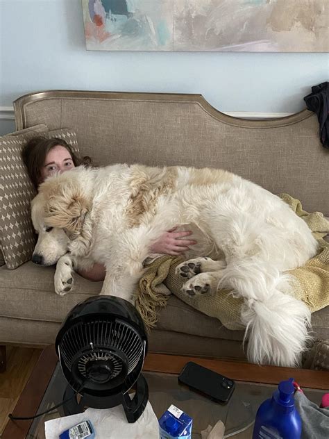 Cuddle Bug Is Now 10 Months Old R A Thing Of Beauty