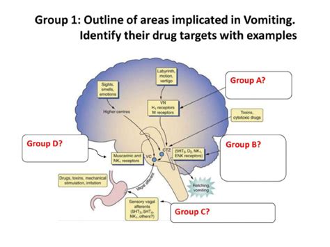 Vomiting Centre Pdf