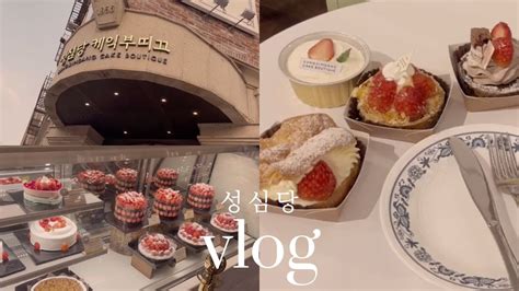 Vlog 성심당 딸기 먹으러 가는 브이로그 Youtube