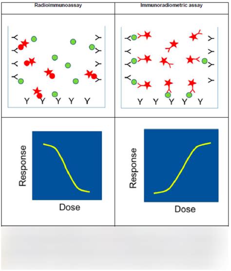 Diagram Of Immunoassay And Laboratory Selection Radioimmunoassay Vs