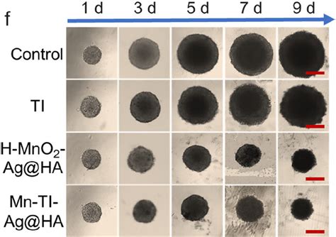 Correction To Tumor Microenvironment Activatable Nanosystem Capable Of