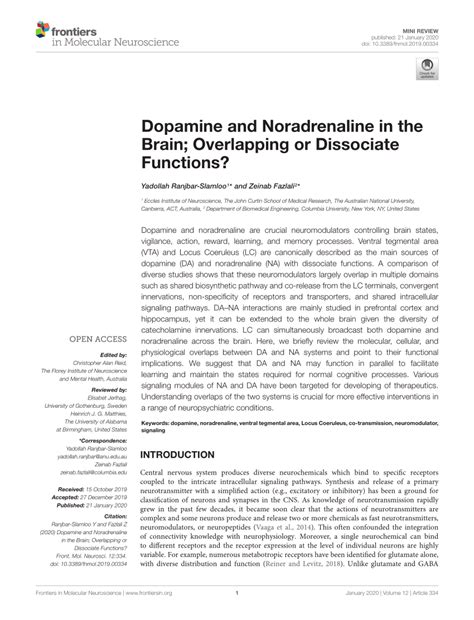 Pdf Dopamine And Noradrenaline In The Brain Overlapping Or