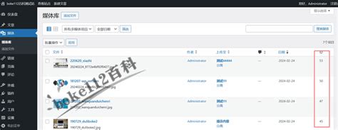 如何实现wordpress后台显示文章、分类目录、标签等的id？