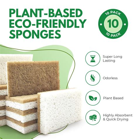 Biodegradable Sponges For Dishwashing Eco Friendly Clean