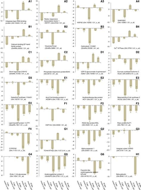 validation of microarray data using qrt pcr during fibre development