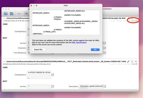 How To Export IXML Metadata File Workflow JWSOUNDGROUP