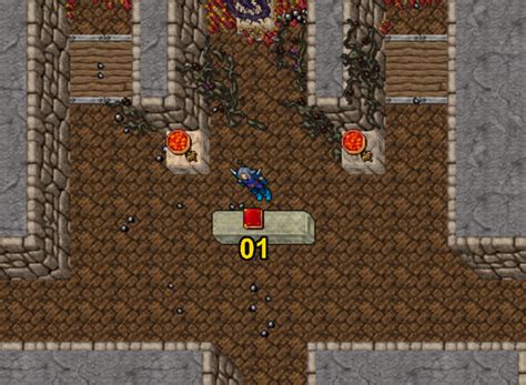 Bibliotecas De Carlin Underground Tibia Wiki A Enciclopédia Do Tibia