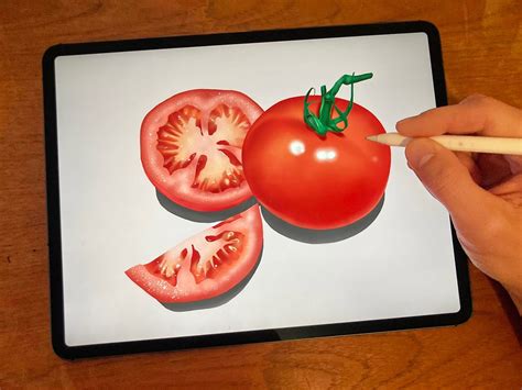 How To Draw On Procreate For Beginners Step By Step - Infoupdate.org