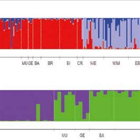 Population Structure Inference For Both Analyses Considering An