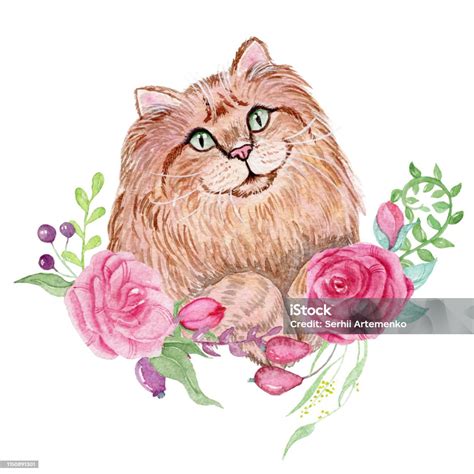 꽃과 수채화 귀여운 무성 한 고양이 직물 엽서 인사말 카드 책 포스터 티셔츠에 대 한 수채화 그래픽입니다 그림 격리 된 개체입니다 고양이 새끼에 대한 스톡 벡터 아트 및