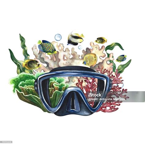 산호와 해양 물고기를 배경으로 한 다이버 마스크 수채화로 손으로 그렸습니다 수중 여행 라벨 엽서 및 배너 전단지 디자인용 인쇄용 스티커 및 티셔츠용 수중에 대한 스톡 벡터