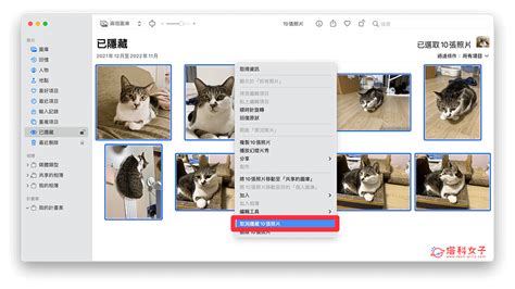 mac 隱藏照片教學，將 mac 相簿隱藏起來不顯示 塔科女子