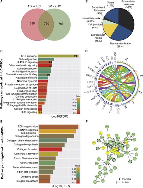 Integrated Transcriptome Proteome Analyses Of Human Stem Cells Reveal Source Dependent