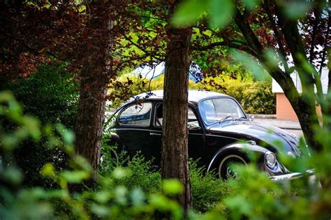 Vw Bug My 2nd Attempt At Car Photography Tipps And Opinions Welcome