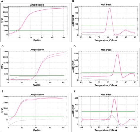 Rapid And Simultaneous Detection Of Multiple Pathogens In The Lower Reproductive Tract During