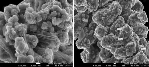 Sem Analysis Of Ball Milled Powder Download Scientific Diagram