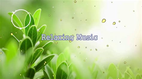 20분 안에 잠을 자게하는 기적의 음악 잠잘때 듣는 음악 잠잘오는음악 잠오는 음악 진정한 음악 수면유도음악 Out Youtube Music