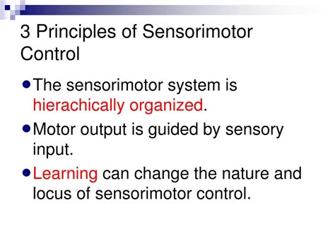 ppt topic 6 the sensorimotor system powerpoint presentation free