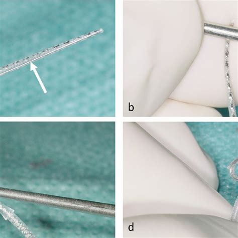 Design Of The Custom Made Electrode Array Showing The 12 Platinum