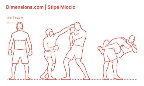 Ufc Octagon Dimensions And Drawings