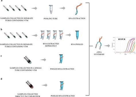 Pooled Testing Strategies For Sars Cov 2 Diagnosis A Comprehensive Review Abstract Europe Pmc