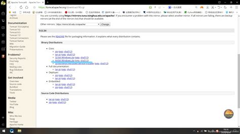 tomcat9 0 不推荐最新版 最详细安装及配置教程 tomcat9 0 34安装及配置教程 csdn博客