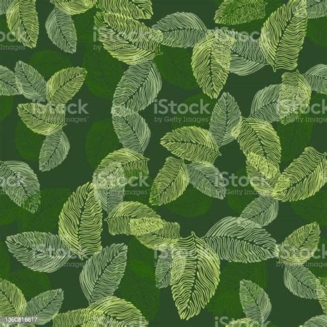 손으로 그린 열대 프린트와 현대 야자 잎 원활한 패턴 현대 자연 배경 계절 직물에 대한 벡터 일러스트레이션 그리기에 대한 스톡 벡터 아트 및 기타 이미지 Istock