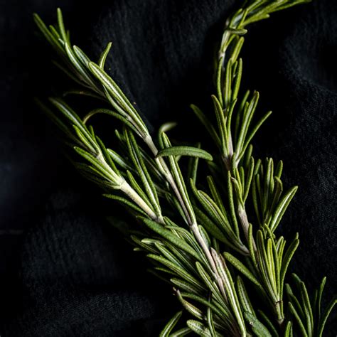 21 Best Substitutes For Turmeric Fresh And Dried Options Raepublic