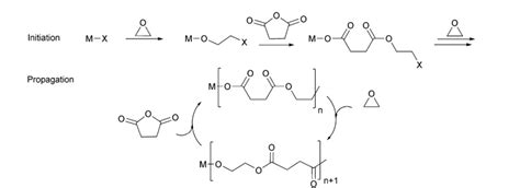 Biodegradable Polyesters Specific Polymers