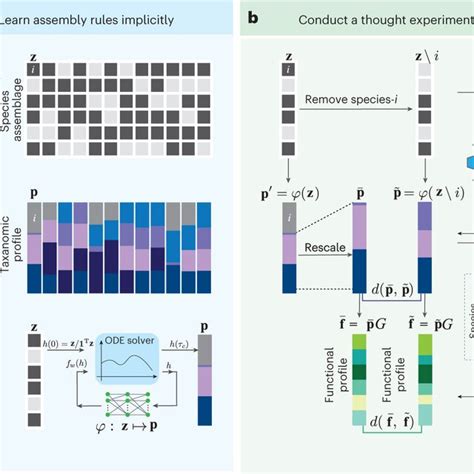 Identifying Keystone Species In Microbial Communities Using Deep Learning Request Pdf