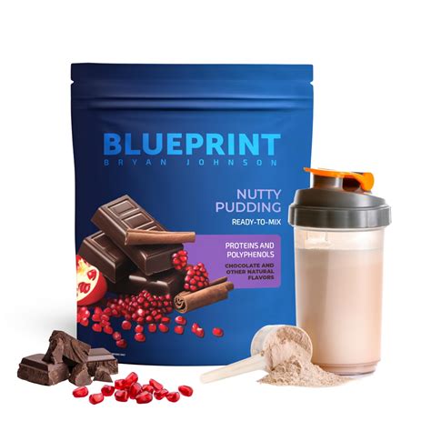 Buy Blueprint Bryan Johnson Longevity Protein Nutty Pudding 26g