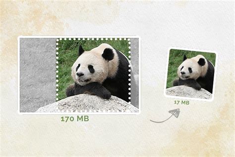 PNG Files In Depth Guide To Understand This Popular Image File Format Media Hygiene