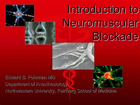 Intro To Neuromuscular Blockers Ppt