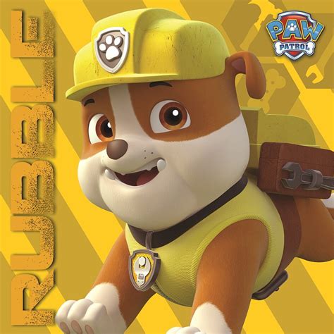 Leinwand Poster Bilder Paw Patrol Rubble On The Double
